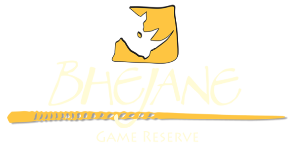 Bhejane Game Reserve – Game Reserve | Speciality Meats | Hunting