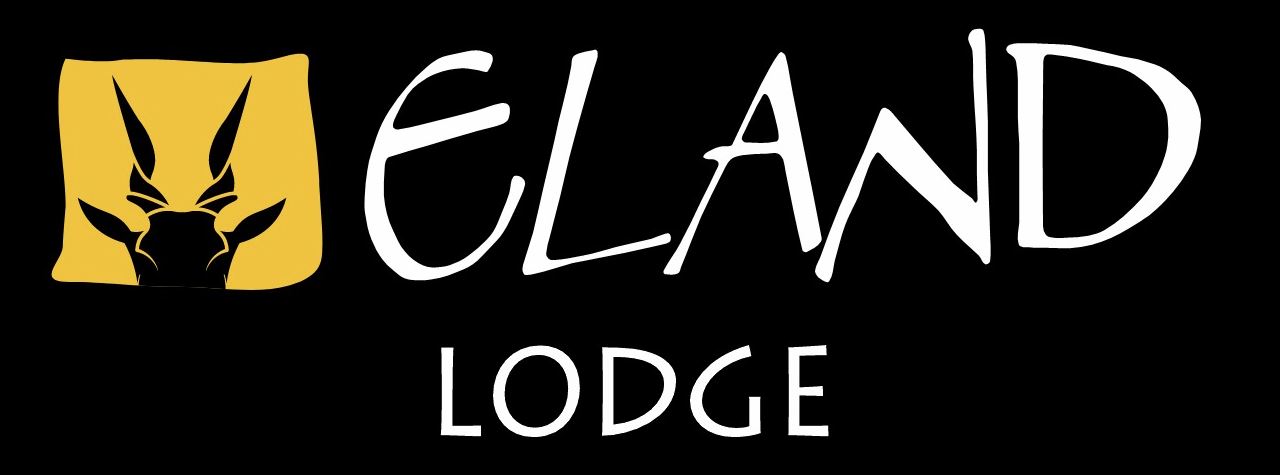 Accommodation – Bhejane Game Reserve